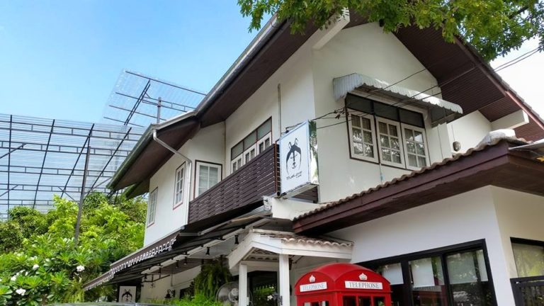 True Love Café (Husky Café) at Bangkok - Asia Trend