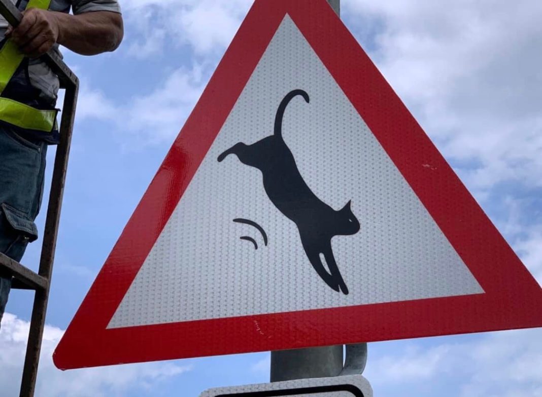A ‘Beware of Cats’ traffic sign in New Taipei City’s Houtong Township ...