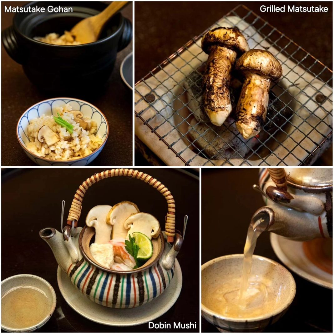 Have you heard of the Japanese Autumn Delicacy Matsutake? - Asia Trend